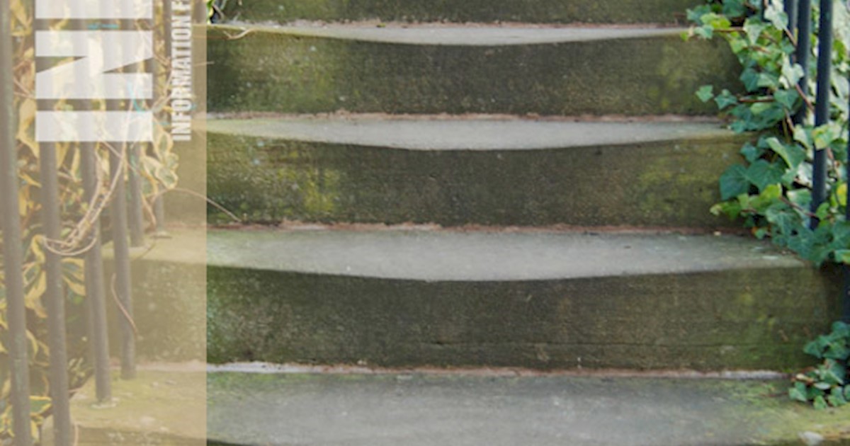 Inform Guide: Exterior Masonry Steps | Explore Your Built Heritage