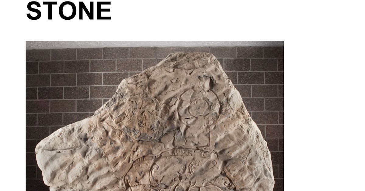 Knocknagael Boar Stone Statement of Significance | Hist Env Scotland