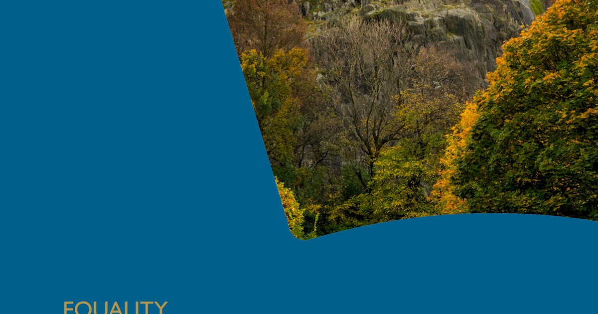 Equality Progress and Monitoring Data Reports | Hist Env Scotland